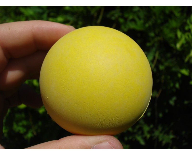 Minge pentru caini , din cauciuc natural moale