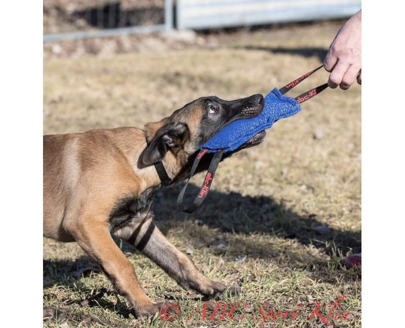Tug pentru dresaj canin din material francez