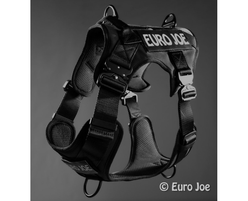 Ham tactic Cobra Euro Joe M