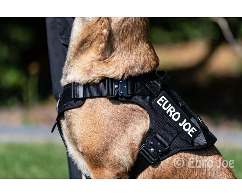 Ham tactic Cobra Euro Joe L