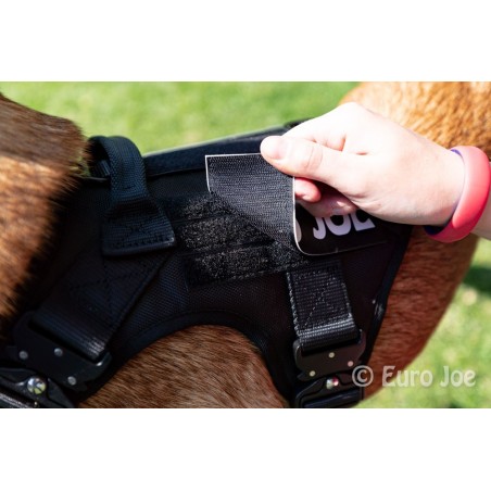 Ham tactic Cobra Euro Joe L